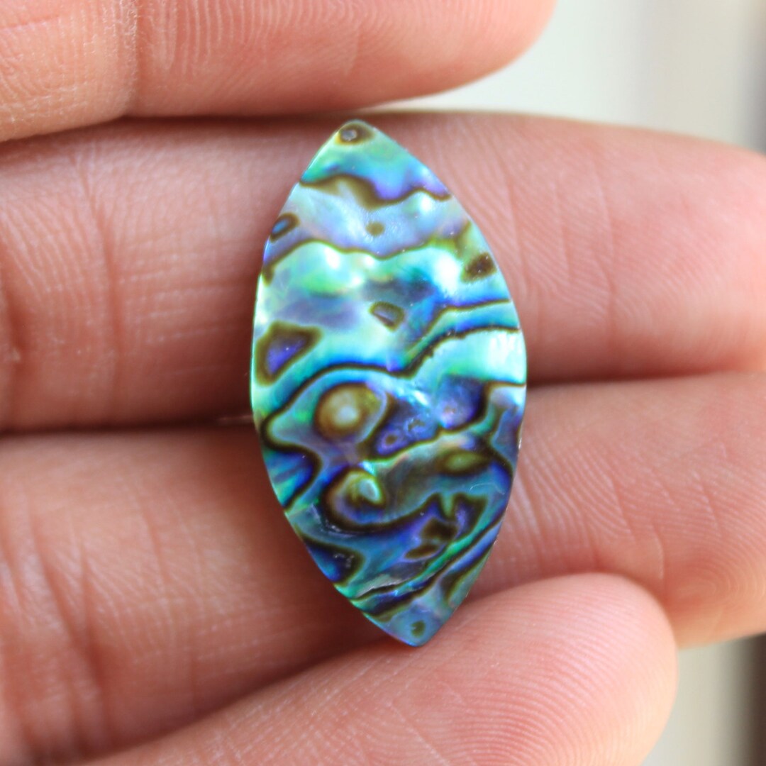 Abalone Shell, Natural Abalone Shell, Marquise Cabochon, Gemstones ...