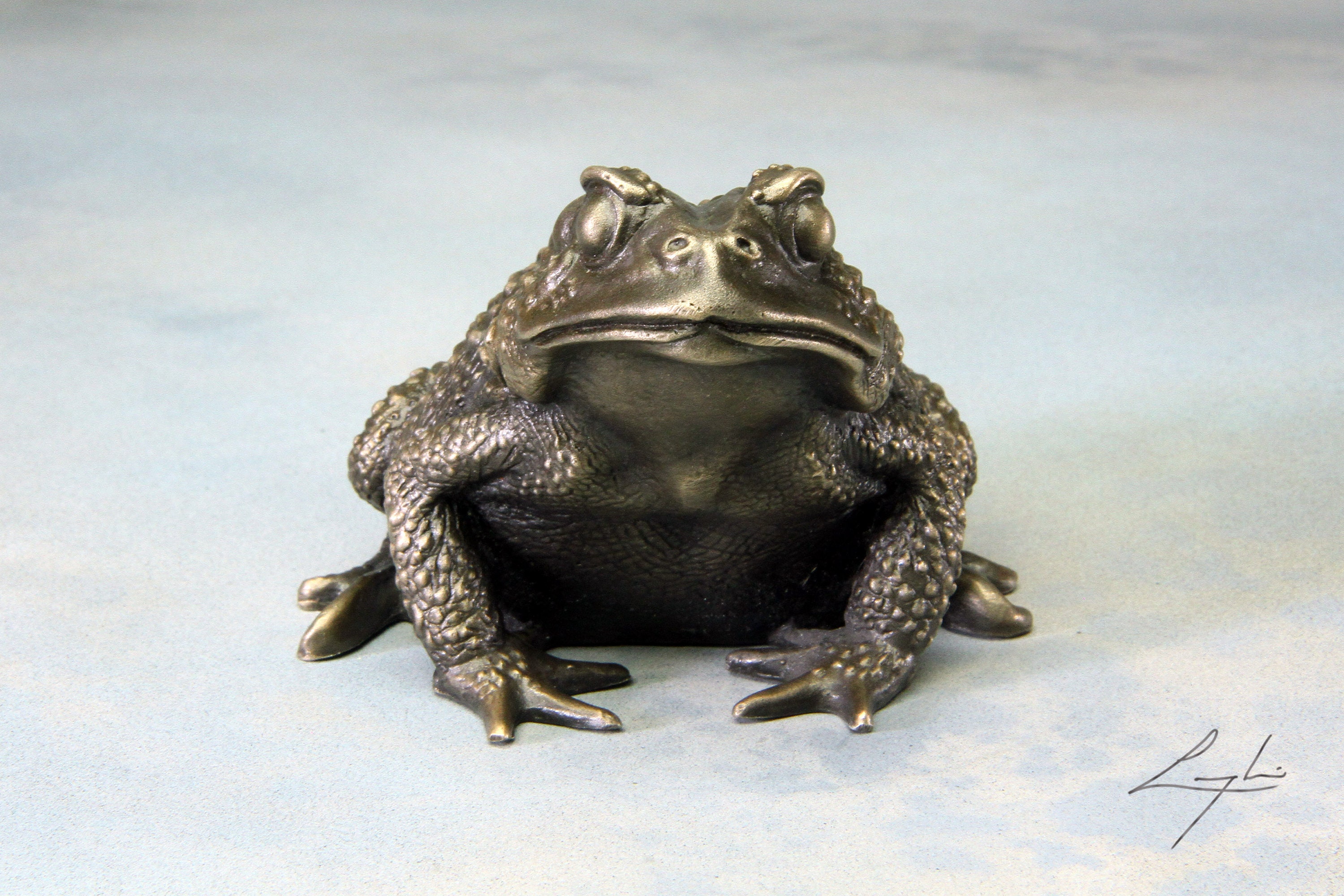 American Toad (cast Bronze Edition) - Etsy