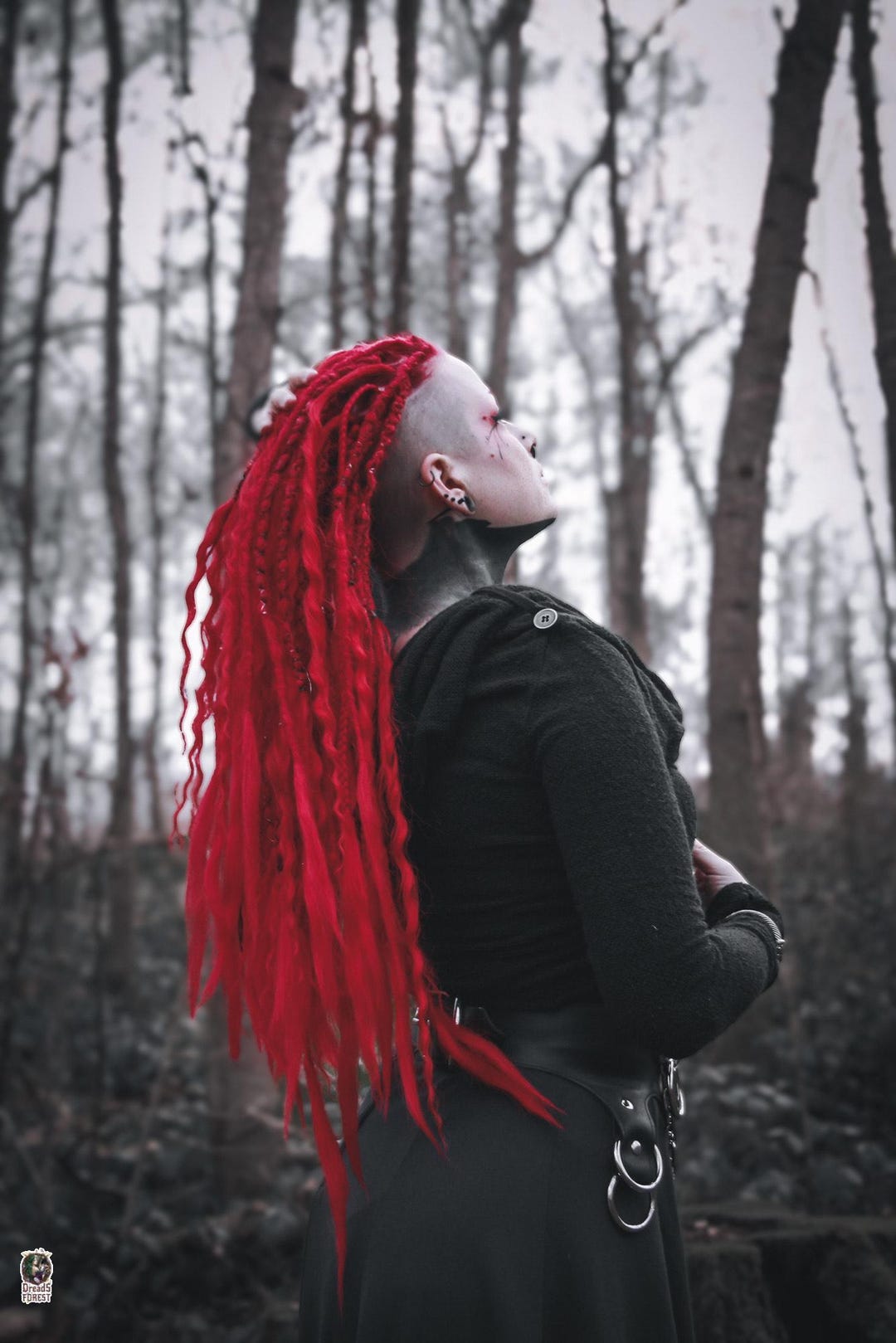 Red Henlon Dreads: Braids, Curls, Raven Skull Pendant - Gothic Pagan ...