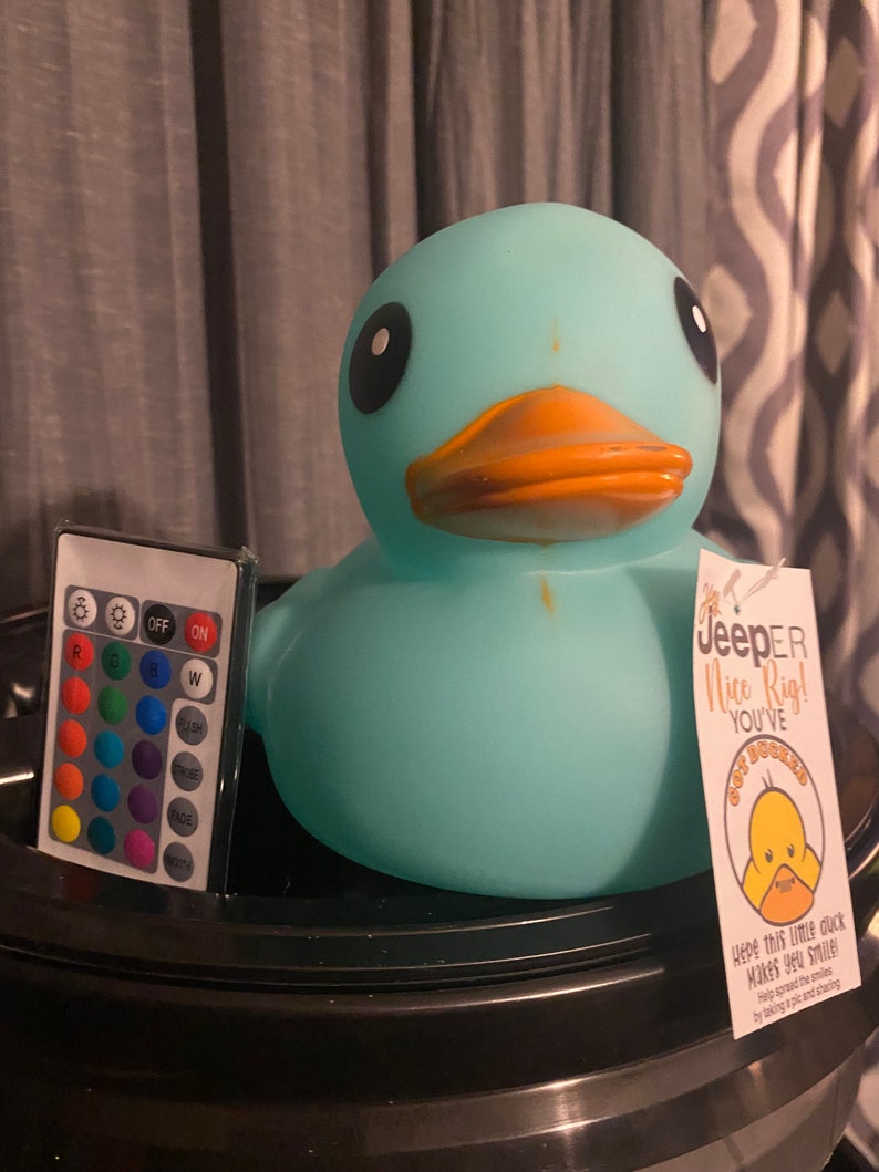 LED Light up Duck-solid COLORS-7 Inch-remote and Batteries Included - Etsy