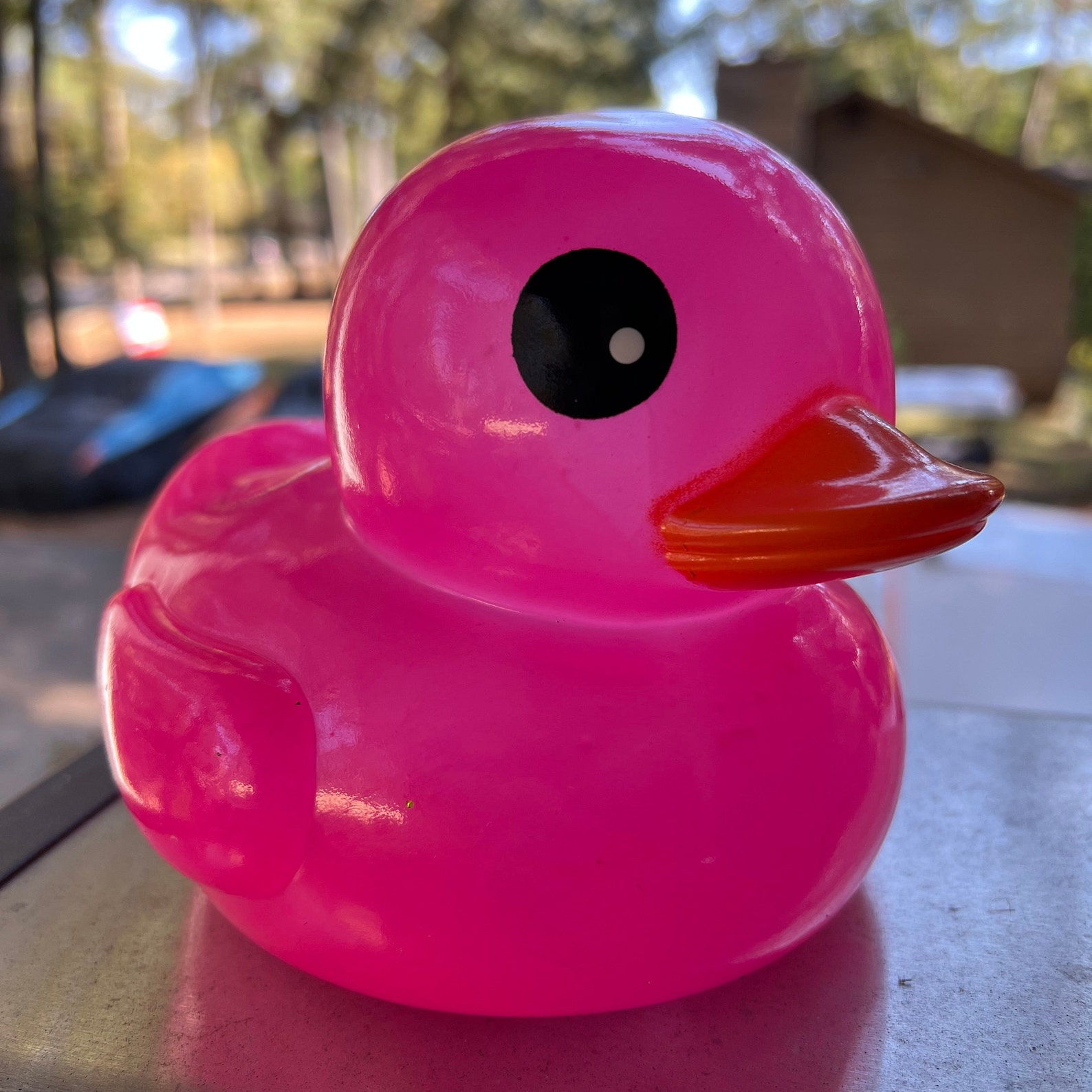 LED Light up Duck-neon BLUE-7 Inch-remote and Batteries Included - Etsy