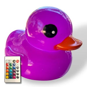 LED Light up Duck-neon BLUE-7 Inch-remote and Batteries Included - Etsy