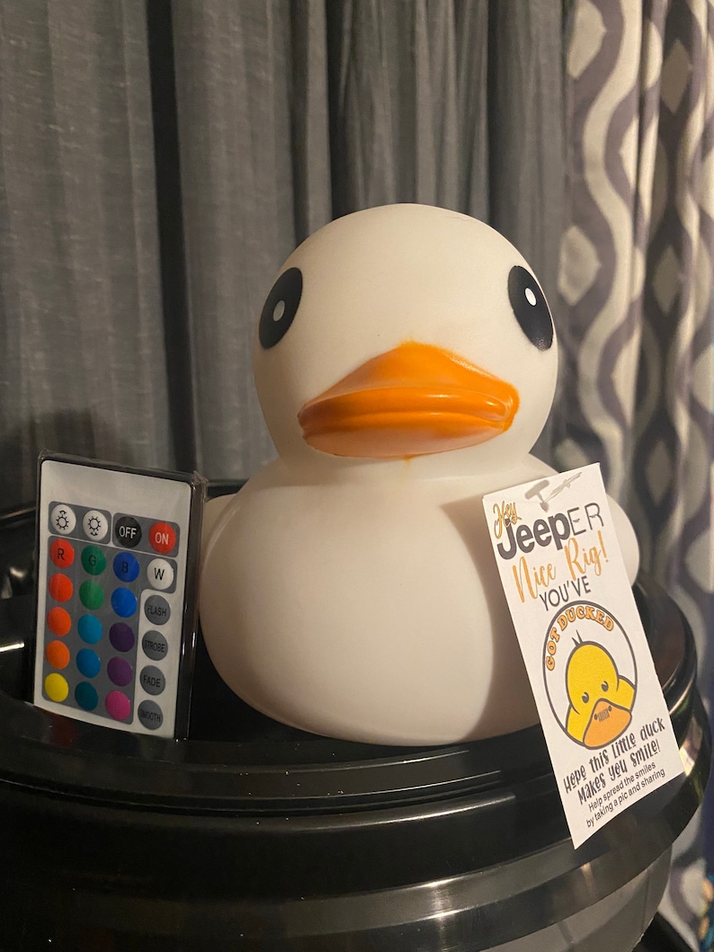 LED Light up Duck-solid COLORS-7 Inch-remote and Batteries Included - Etsy