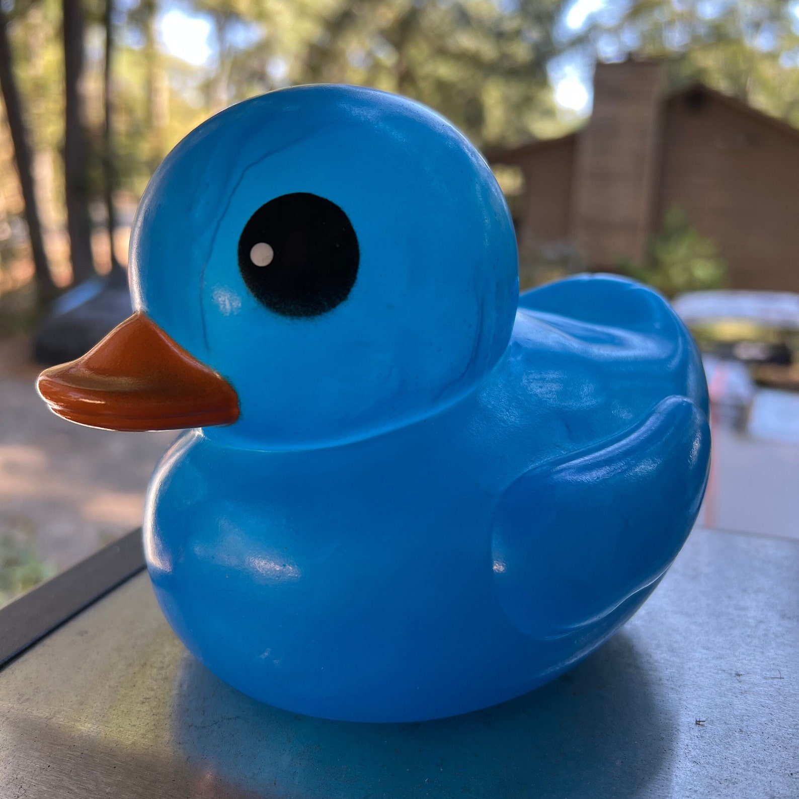 LED Light up Duck-neon BLUE-7 Inch-remote and Batteries Included - Etsy