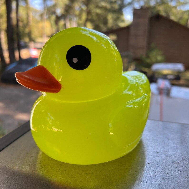 LED Light up Duck-neon BLUE-7 Inch-remote and Batteries Included - Etsy