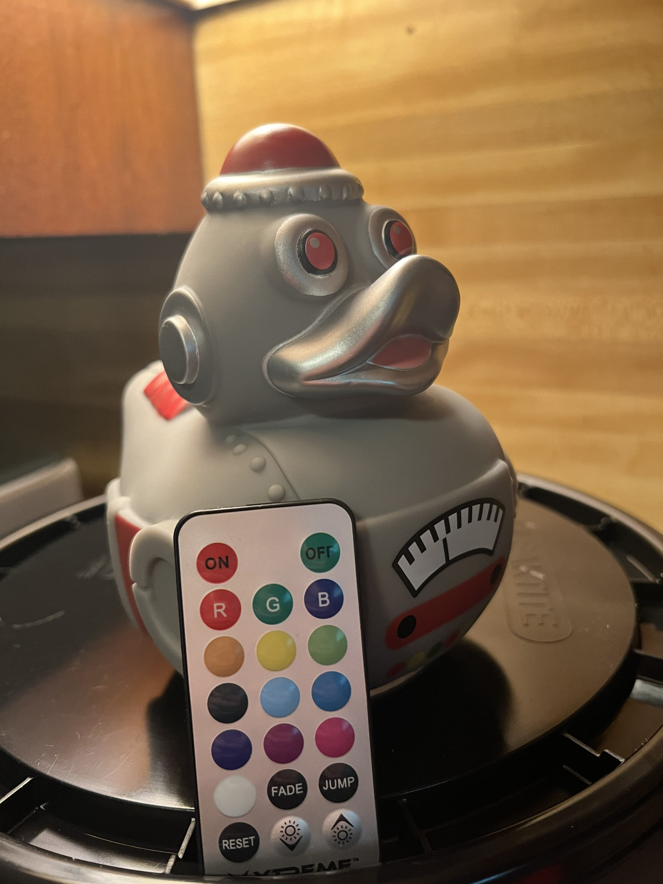 LED Light up Duck-robot-7 Inch-remote and Batteries Included - Etsy