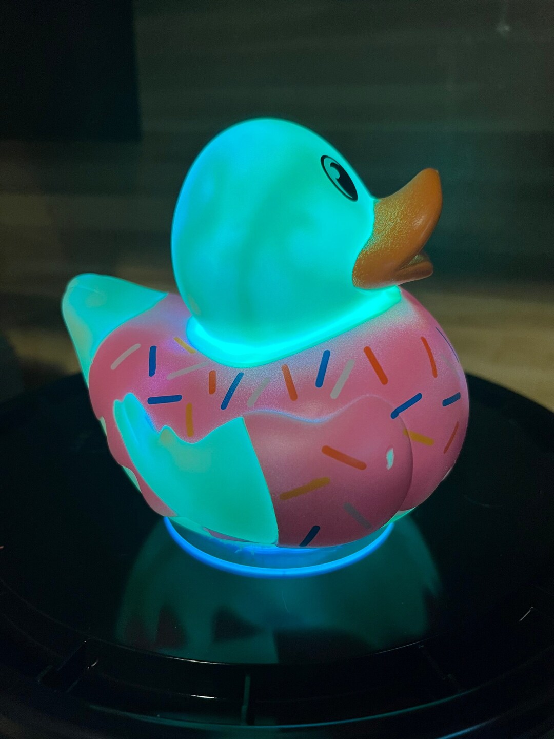 LED Light up Duck-doughnut-7 Inch-remote and Batteries Included - Etsy