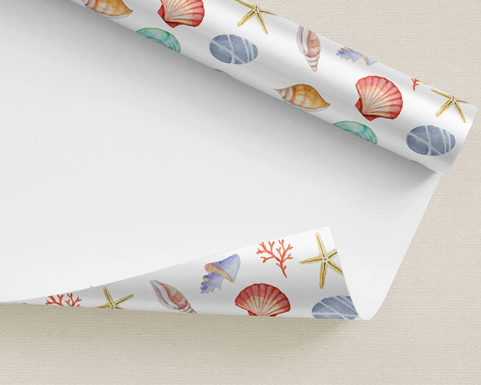 Seashell Wrapping Paper Nautical Beach Shell Gift Wrap Coral - Etsy