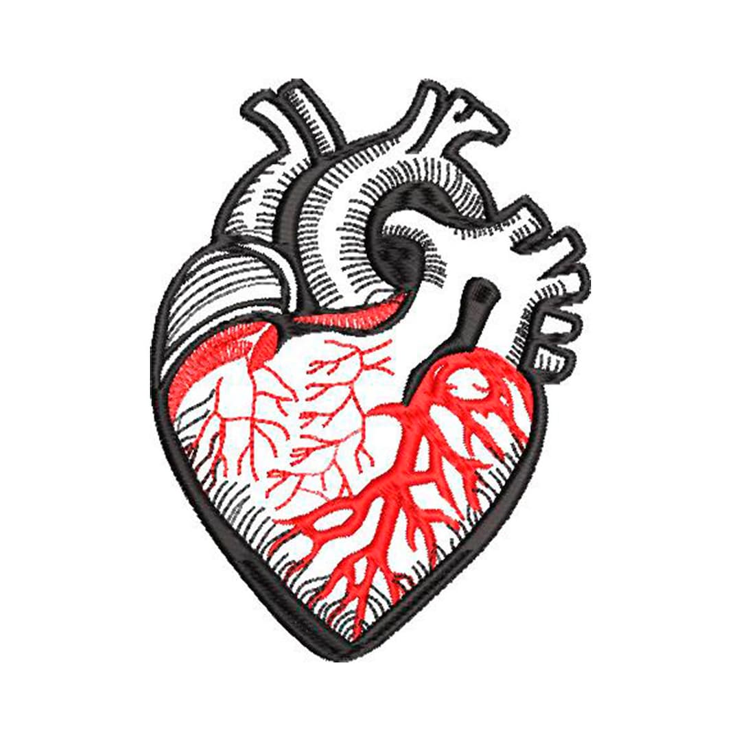 Anatomical Heart Embroidery Design,3 Sizes - Etsy