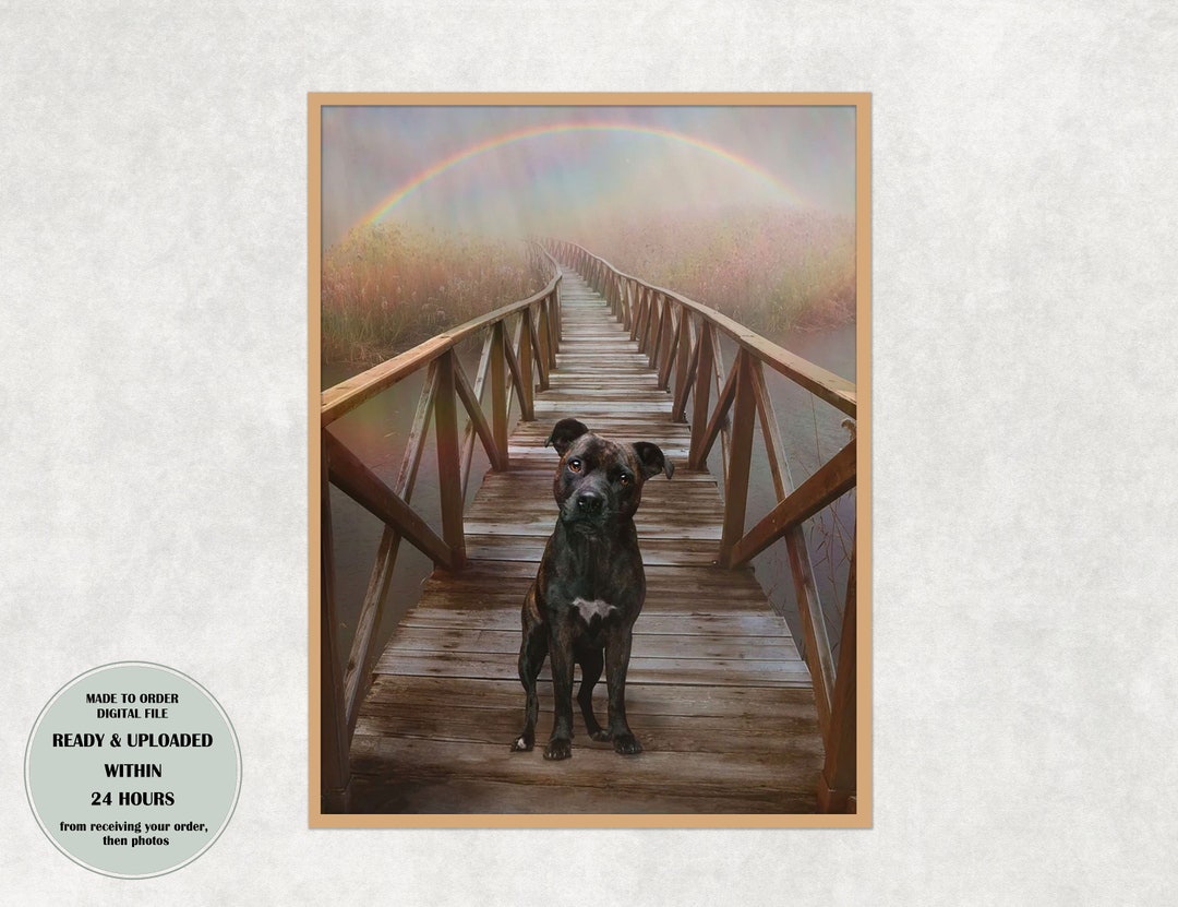 Dog Passed Over the Rainbow Bridge Dog Lovers Loss Memorial - Etsy