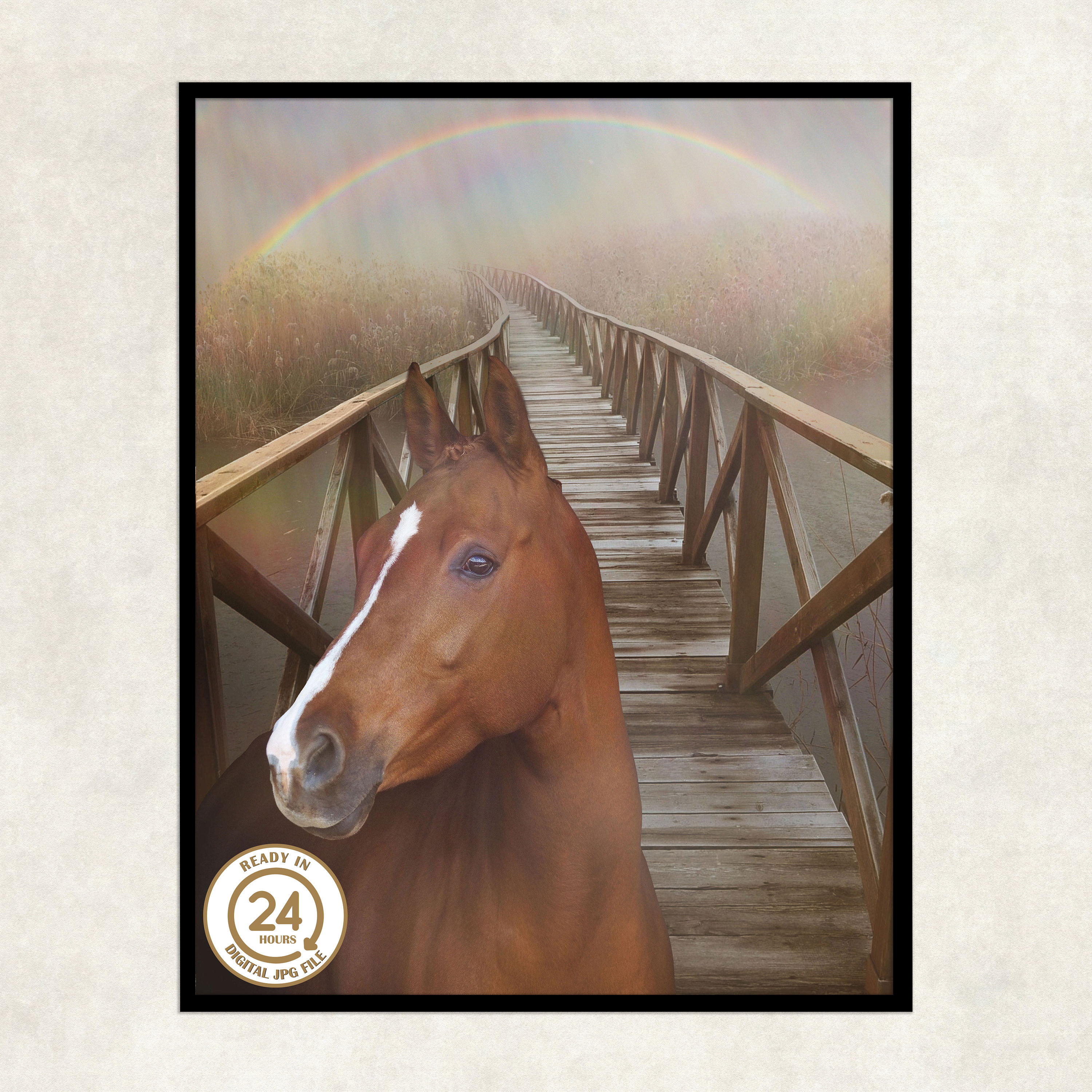 The Rainbow Bridge For Horses