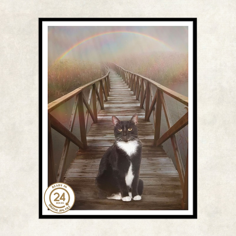 Cat Bridge - Etsy