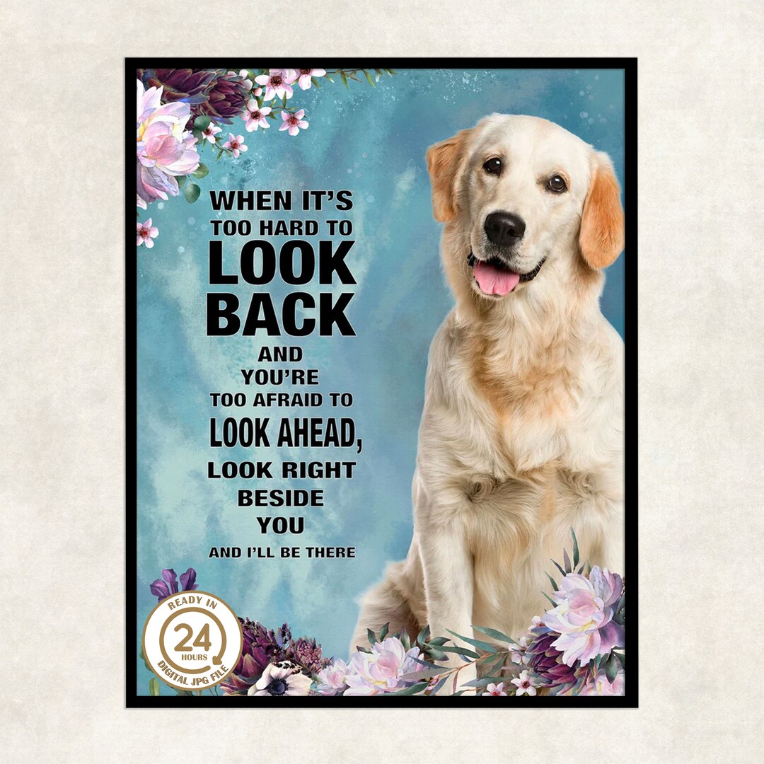 Labrador Dog Passed Away | Personalised Dog Memorial Photo | Dog Loss ...