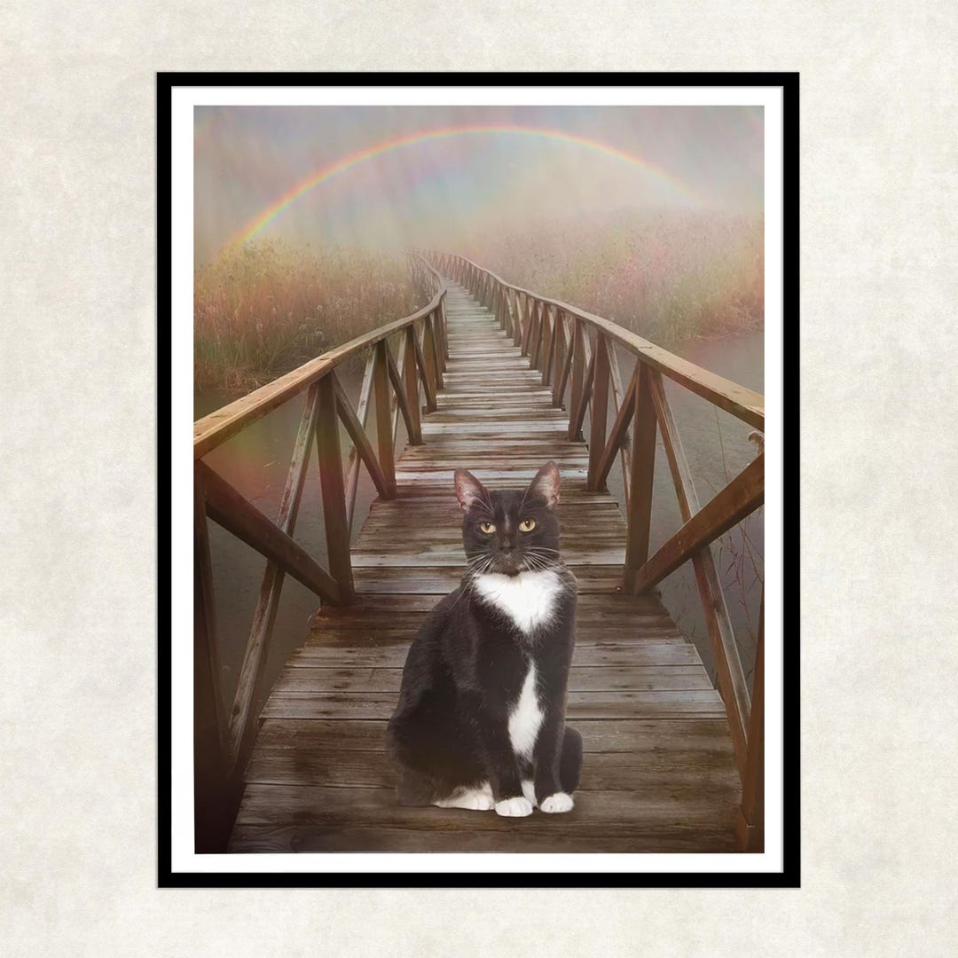 Rainbow Bridge Cat, Cat Loss, Memorial Gift, Loss Cat Rainbow Bridge ...