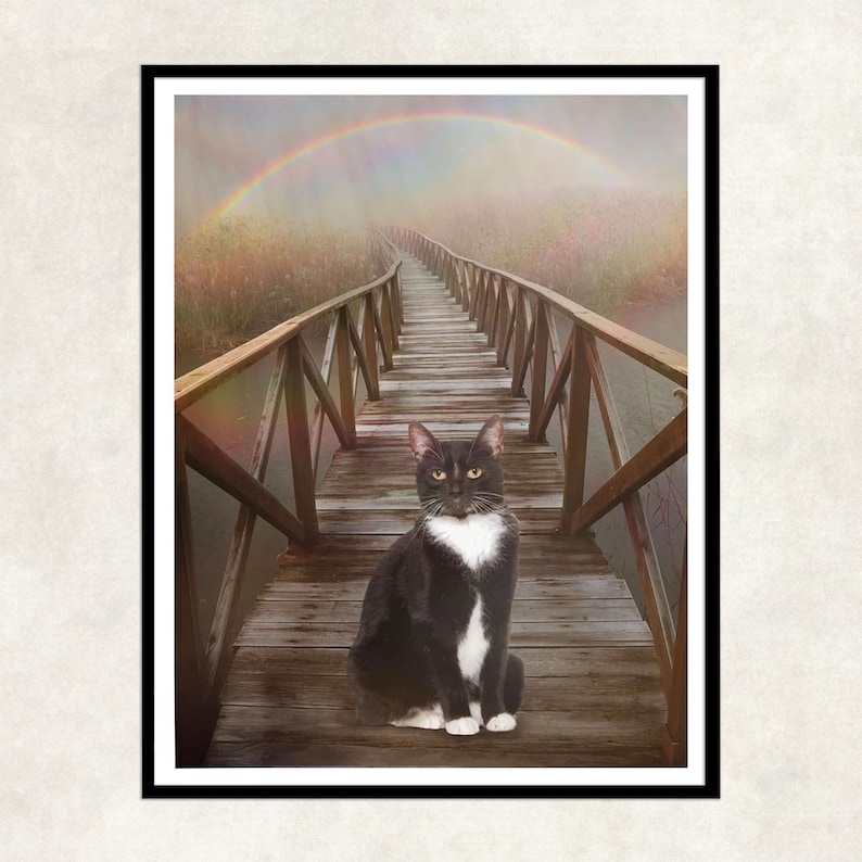 Rainbow Bridge Cat, Cat Loss, Memorial Gift, Loss Cat Rainbow Bridge ...