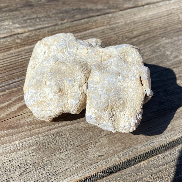 Snakeskin Agate - Etsy