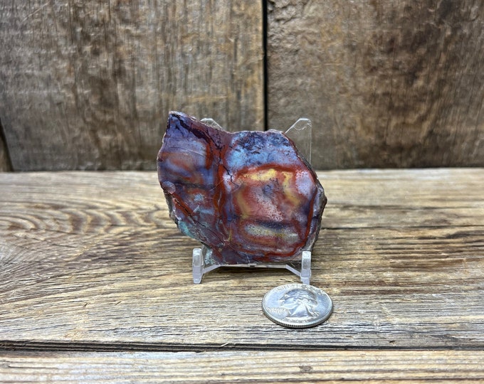 Polished Agate Display Slab - Etsy