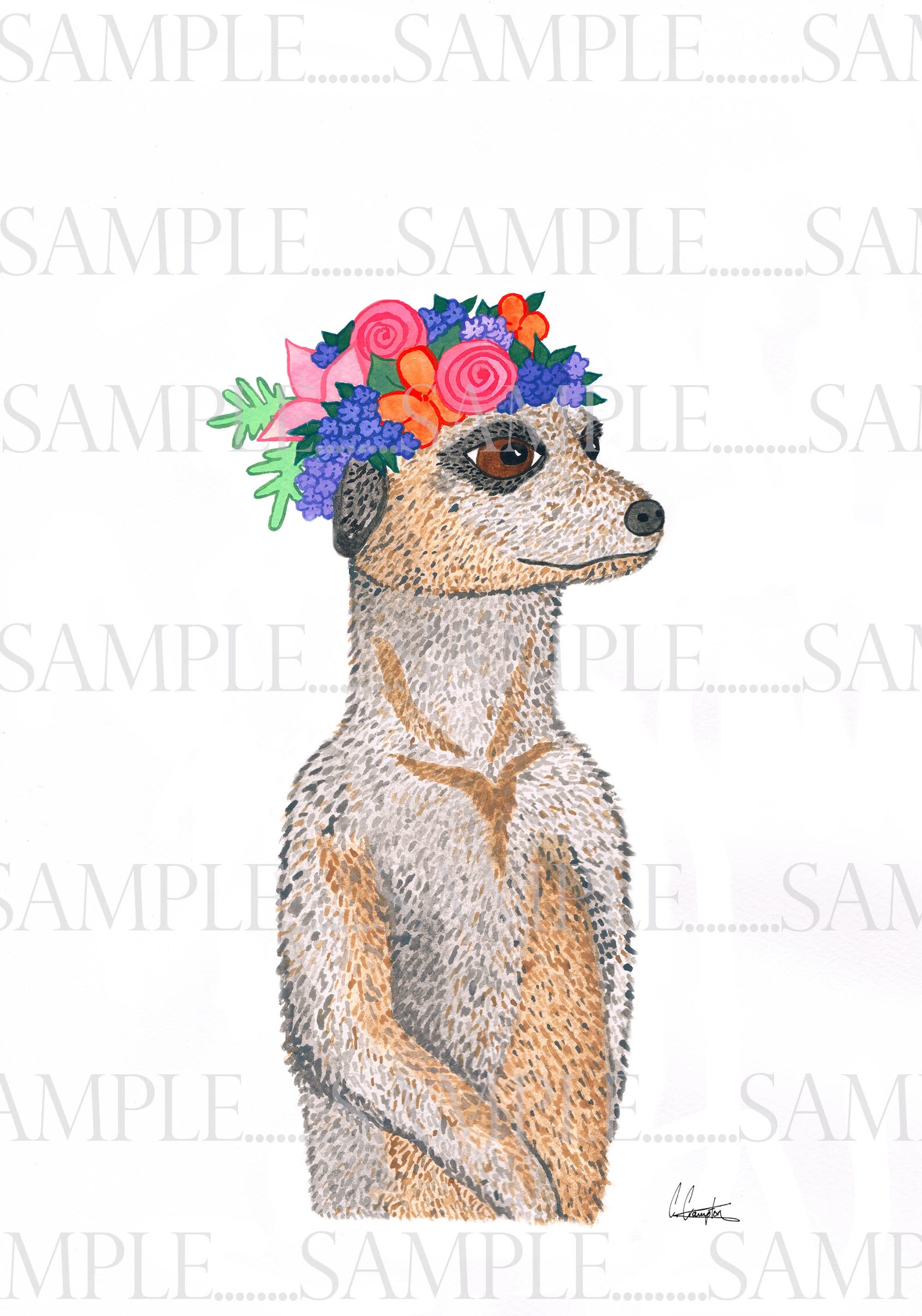 Meerkat Painting, Meerkat, Meerkat With Flowers, Watercolor Meerkat ...
