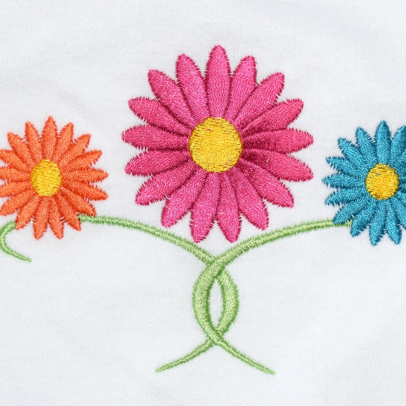 Gerber Daisy - Etsy