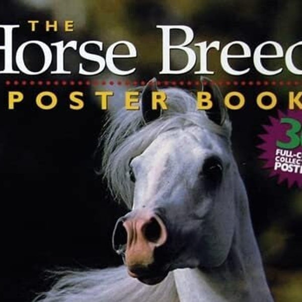 Horse Breeds Poster - Etsy
