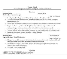 Harvard Style Resume Template, Microsoft Word, Easy Edit, Clean, Modern ...