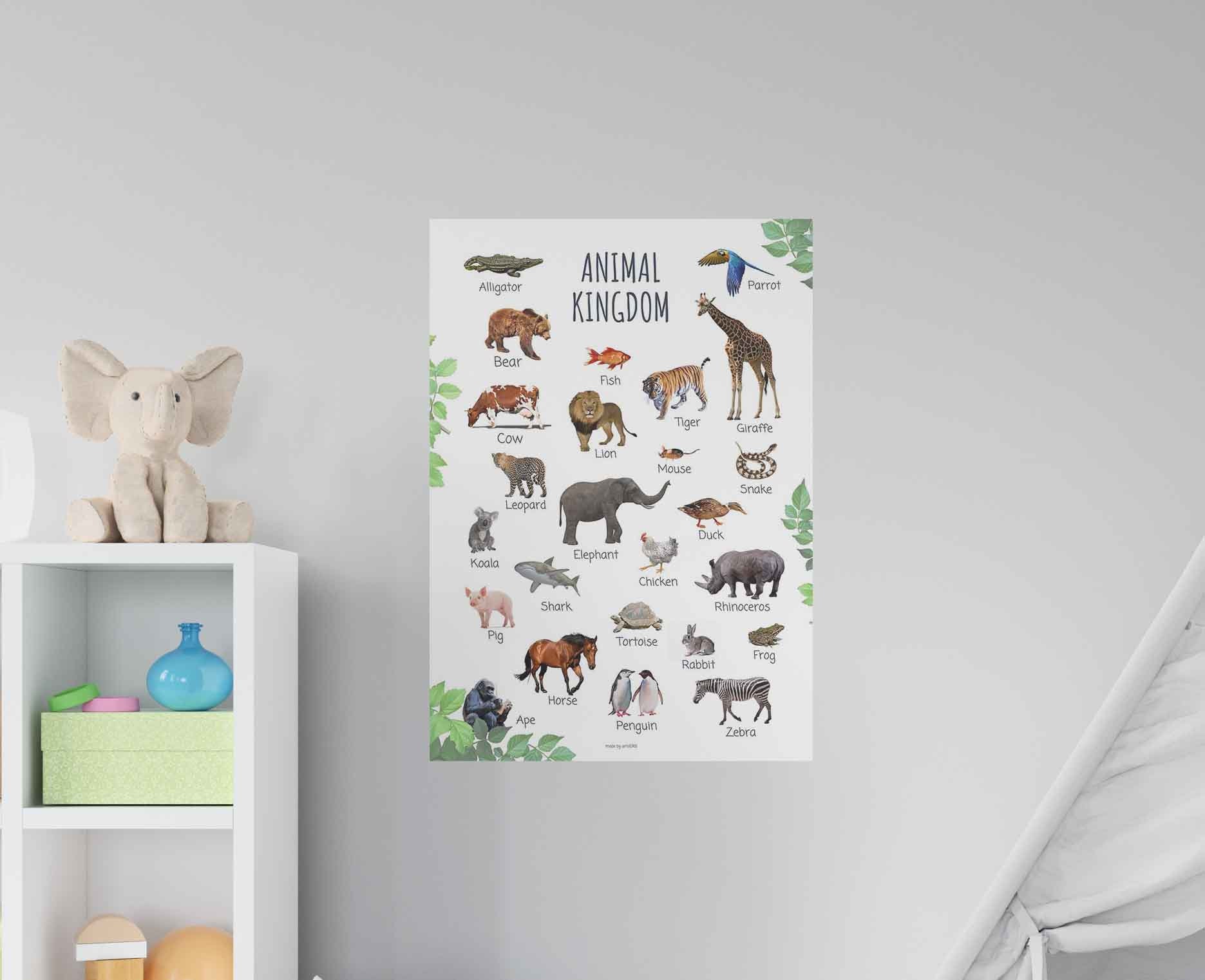Educational Posters Wild Animals Poster Animal Kingdom Poster Animal ...
