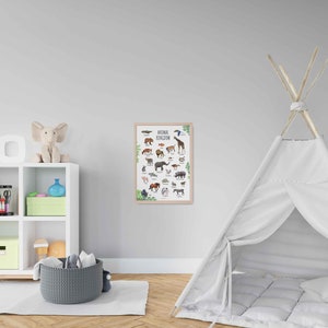 Educational Posters Wild Animals Poster Animal Kingdom Poster Animal ...