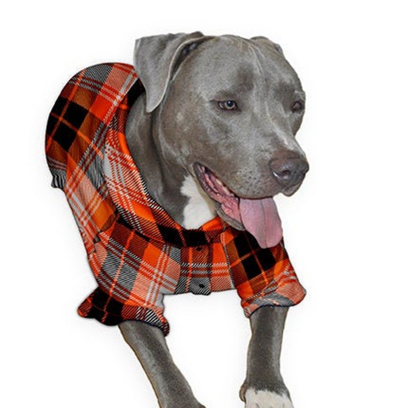 BigDogsCloset - Etsy