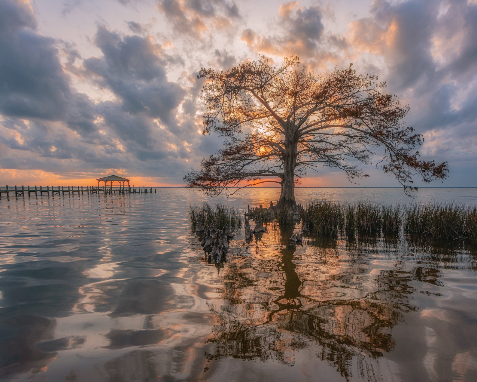 Outer Banks Print, Sunset Fine Art, OBX Fine Art, Duck Boardwalk, tree ...