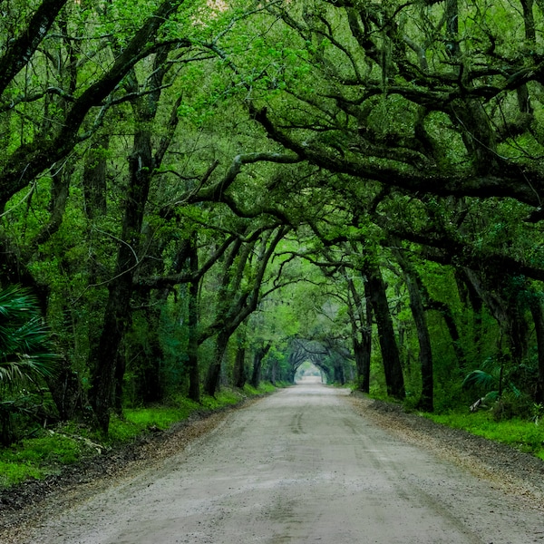 Botany Bay Wall Art - Etsy