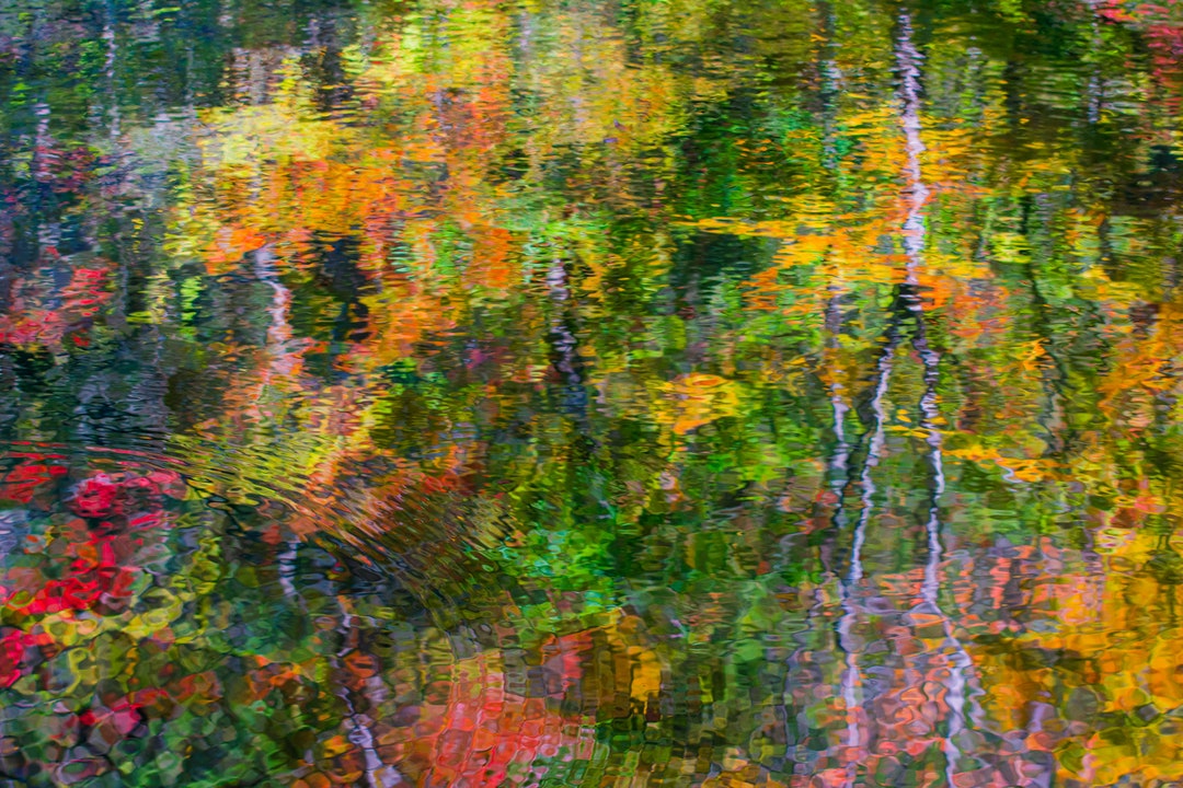 Tree Reflection Art, Smoky Mountain Print, Water Reflection Photo ...