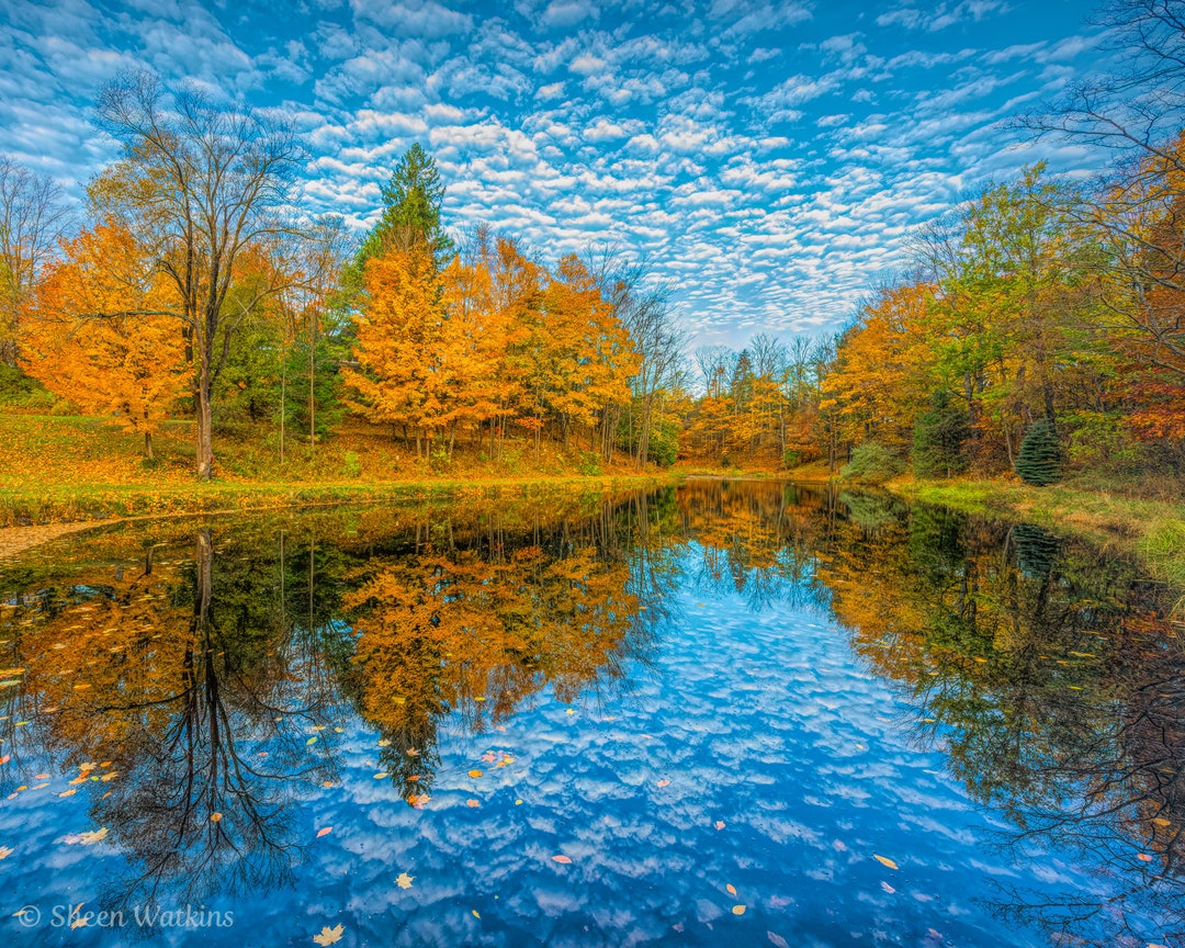 Bold and Beautiful Pond Print, Fall Colors Art, Reflection Print ...