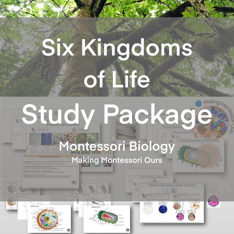 Montessori Six Kingdoms of Life Charts, Materials & Labels Printable ...
