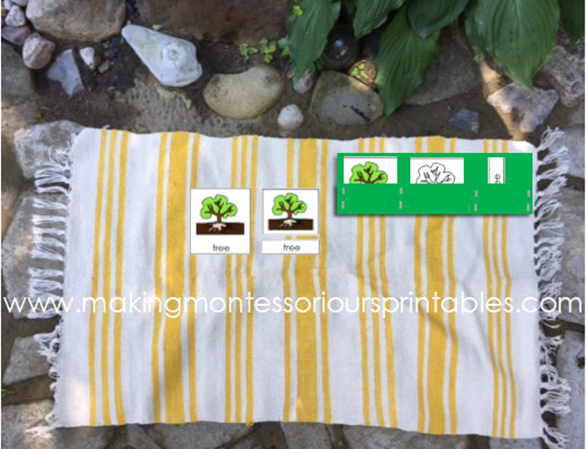 Montessori Botany Cabinet PDF Parts of a Tree 3 Part Cards & Puzzle and ...