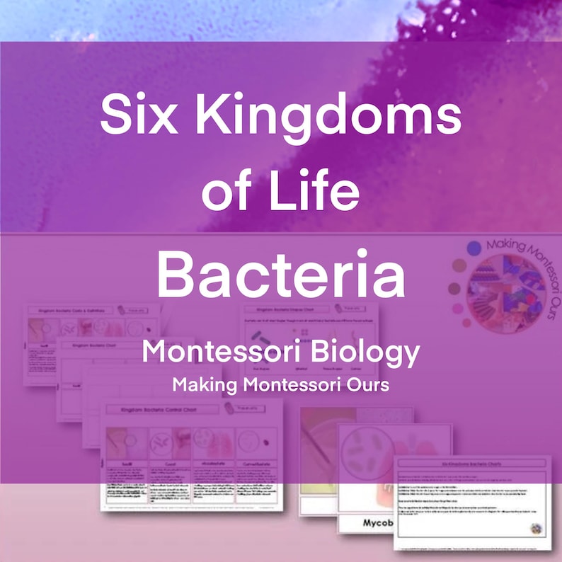 Montessori Six Kingdoms Bacteria Chart & Labels Printable PDF Learning ...