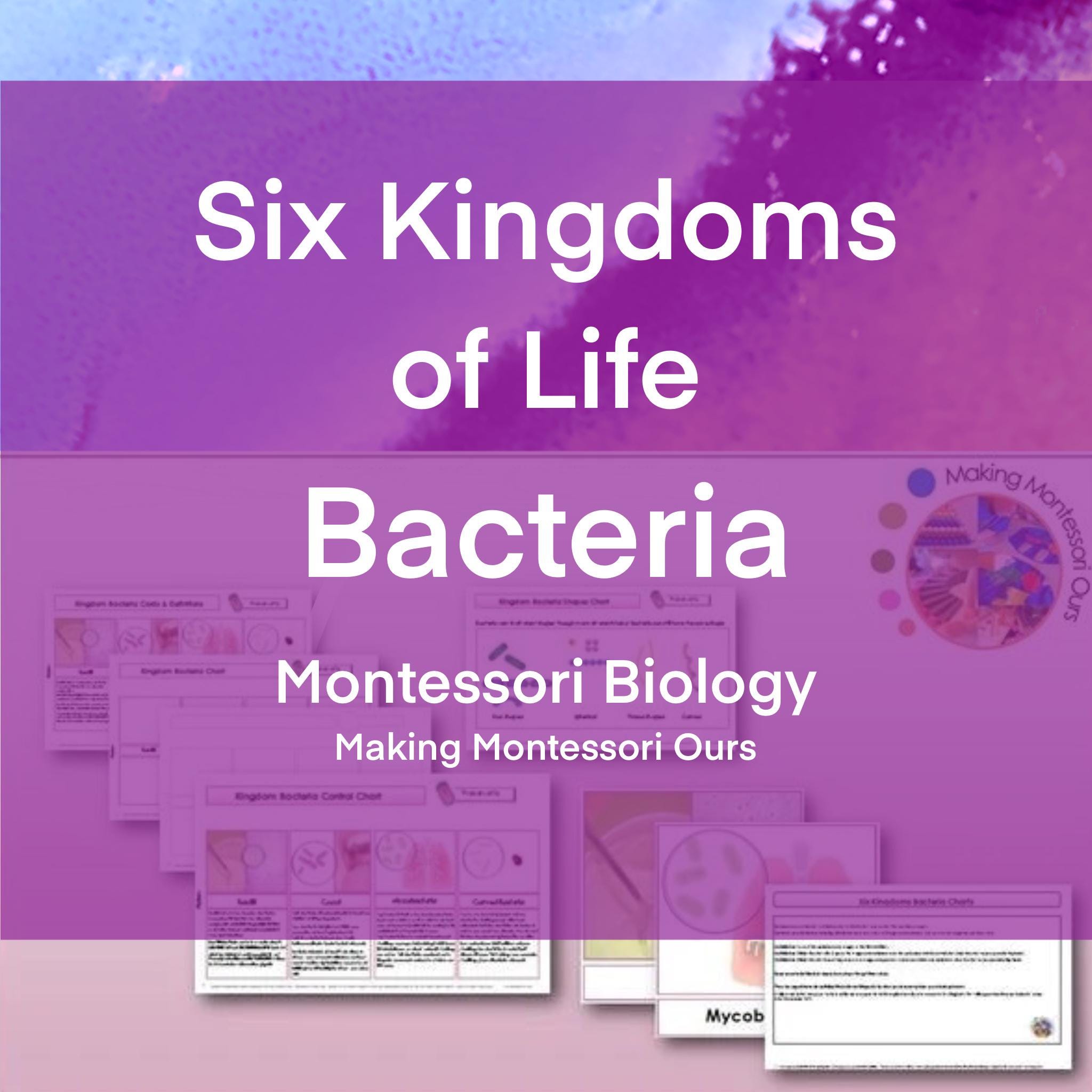 Montessori Six Kingdoms Bacteria Chart & Labels Printable PDF Learning ...
