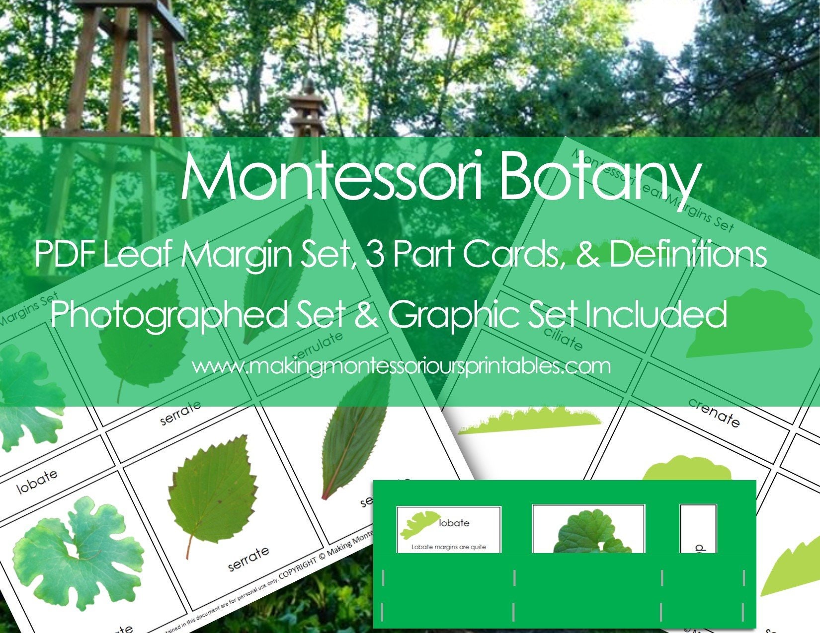 Montessori PDF Leaf Margin Package, 3 Part Cards, & Definitions PDF ...