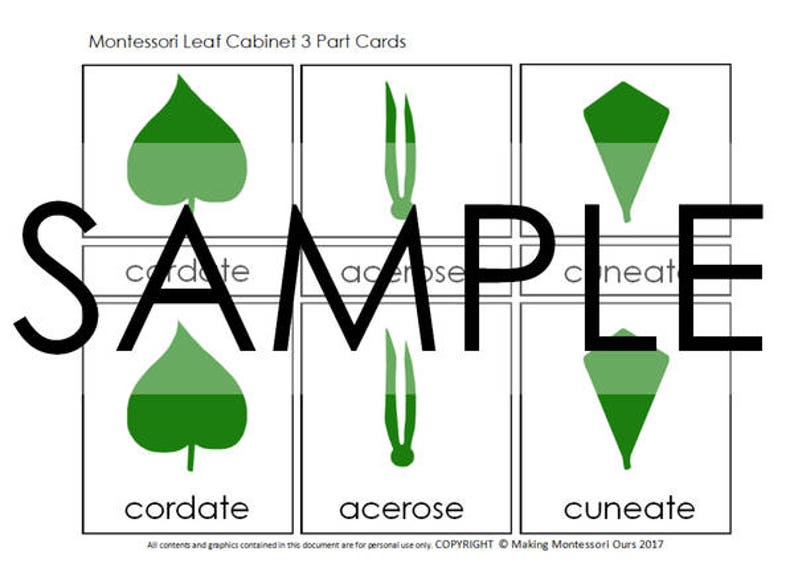 Montessori Leaf Cabinet 3-part Cards PDF for Early Learning - Etsy