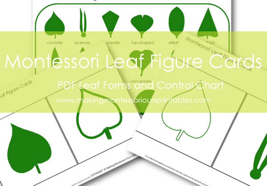Montessori Leaf Cabinet Figure Cards - Etsy
