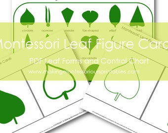 Montessori Leaf Cabinet 3 Part Cards PDF | Etsy