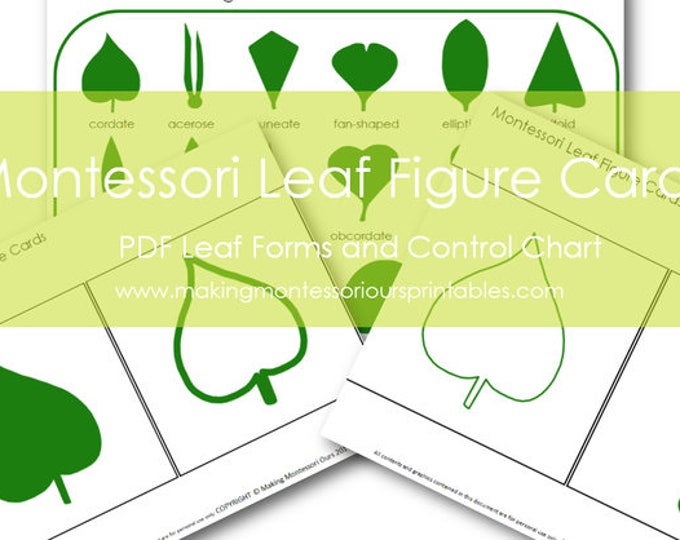 Montessori Leaf Activity Set PDF, Memory Match, 3 Part Cards, Pattern ...
