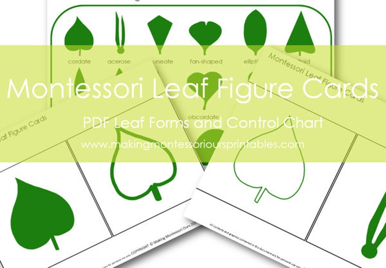 Montessori Leaf Cabinet Figure Cards for Sensorial Learning - Leaf ...