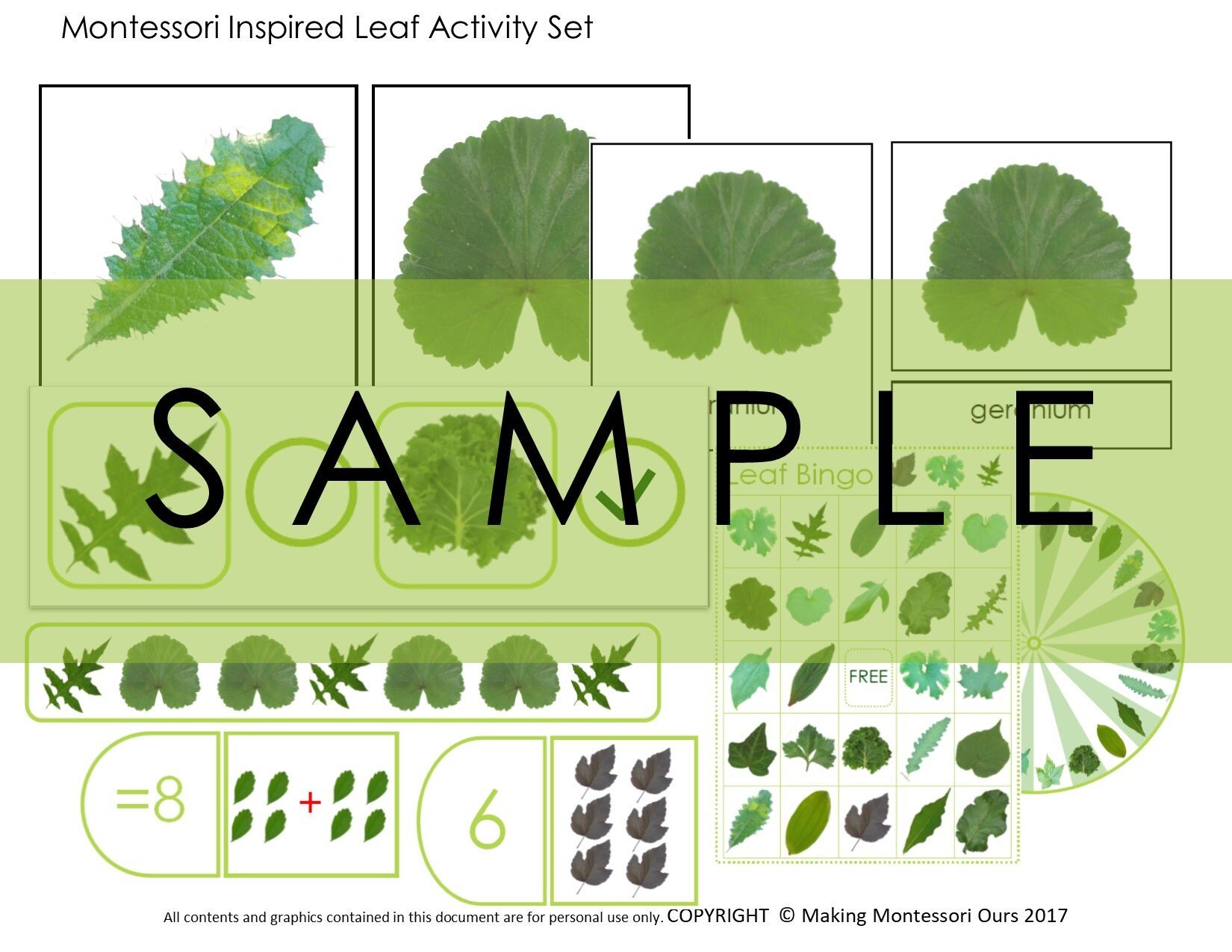 Montessori Leaf Activity Set PDF, Memory Match, 3 Part Cards, Pattern ...