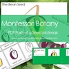 Montessori Test Tube Division Package, Long Division PDF , Test Tube ...