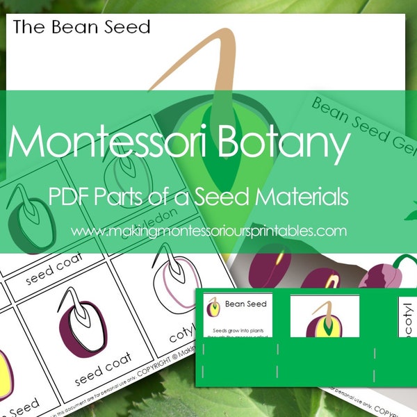 Montessori Botany Cards - Etsy