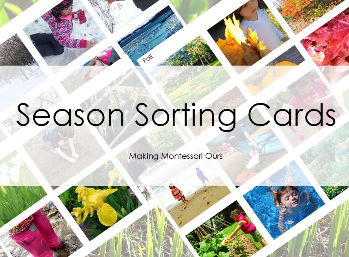 Montessori Season Sorting Card Set PDF - Etsy