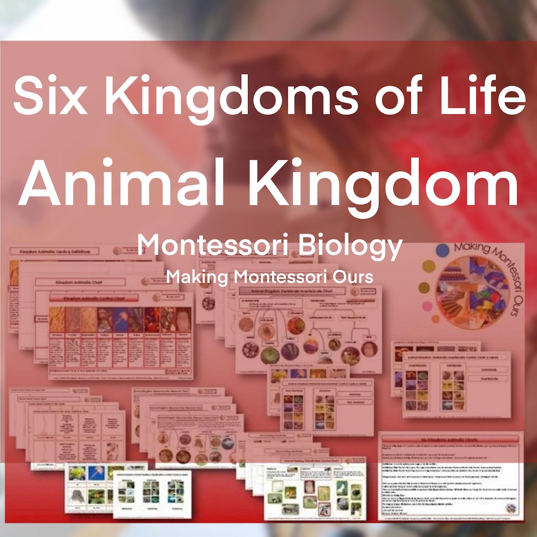 Montessori Six Kingdoms, Animal Kingdom, Animalia Charts, Materials and ...