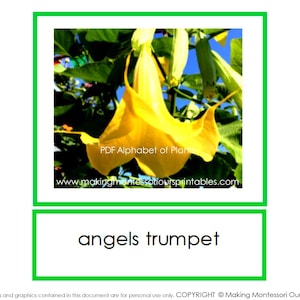 Montessori Plant Abc’s, Alphabet of Plants 3 Part Cards PDF, Set of ...
