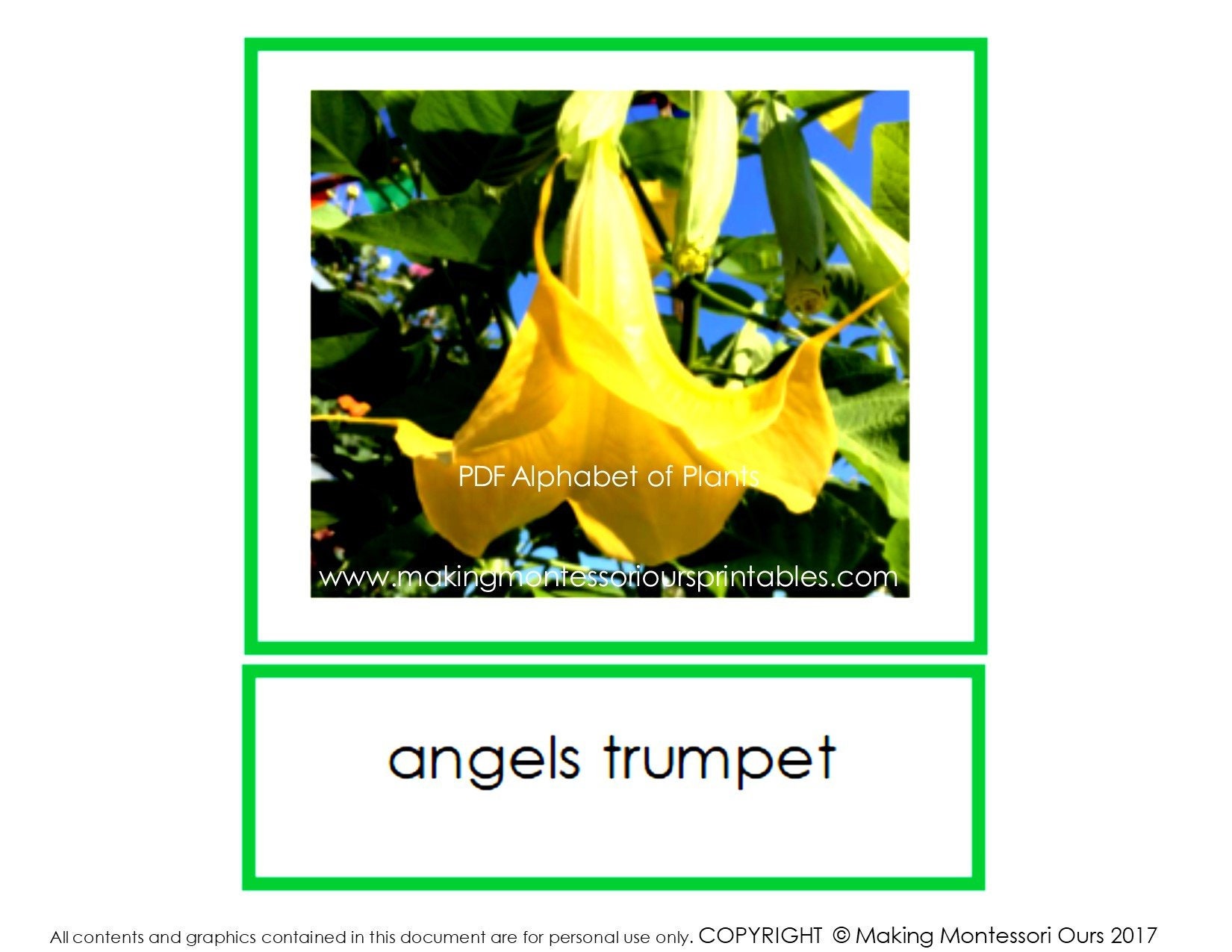 Montessori Plant Abc’s, Alphabet of Plants 3 Part Cards PDF, Set of ...