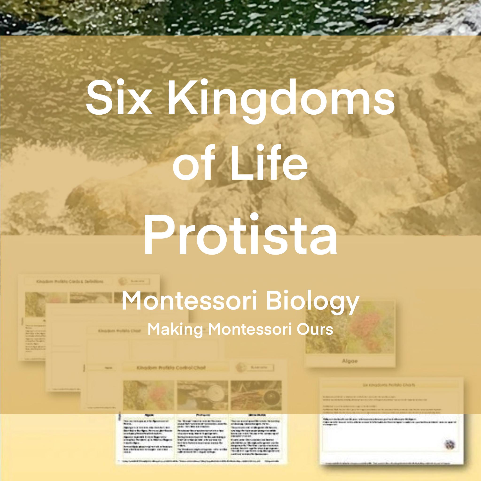 Six Kingdoms Protista Chart & Labels Printable Package - Etsy